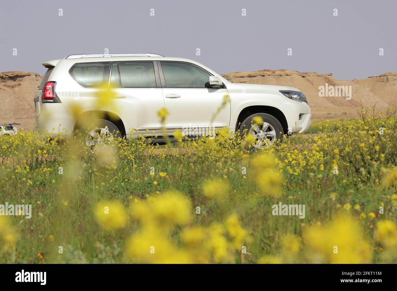 Toyota prado white hi-res stock photography and images - Alamy