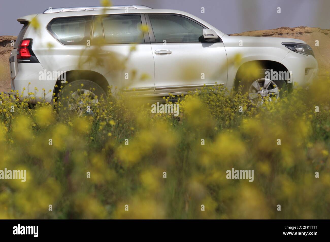 Toyota prado white hi-res stock photography and images - Alamy