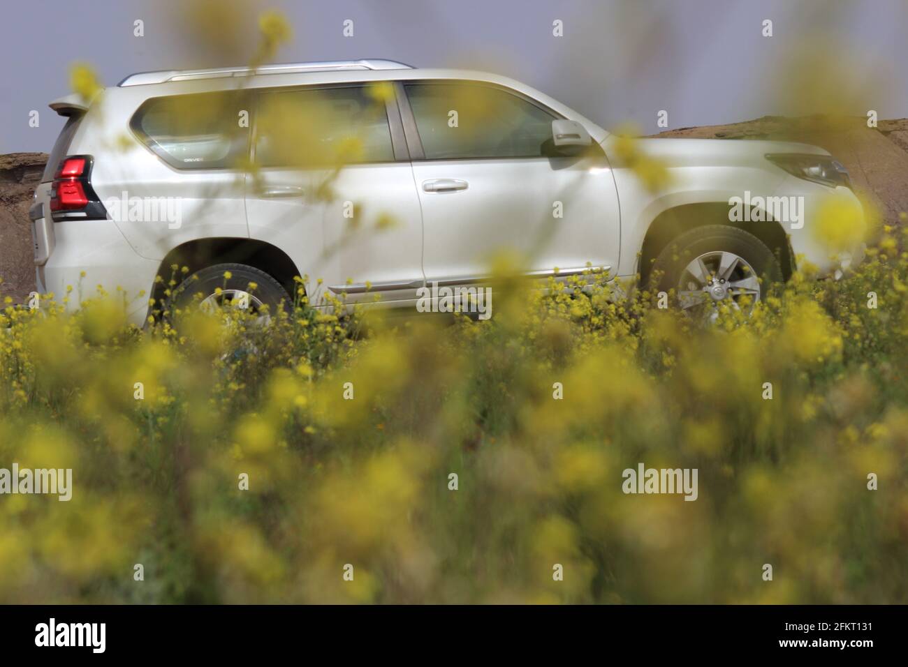 Toyota prado white hi-res stock photography and images - Alamy