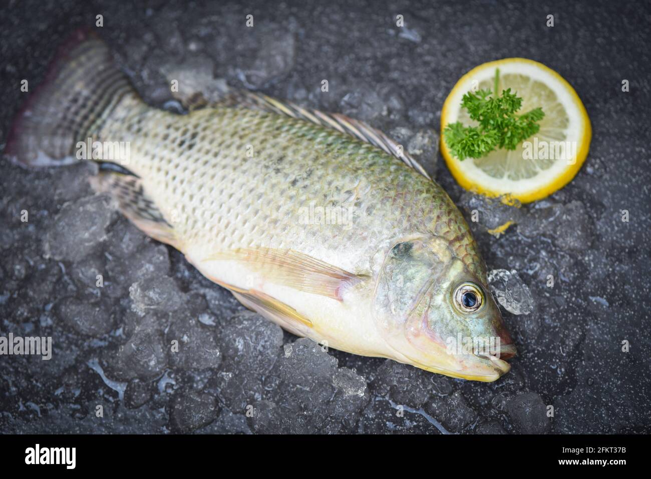 Tilapia fish freshwater for cooking food in the asian restaurant, Fresh ...