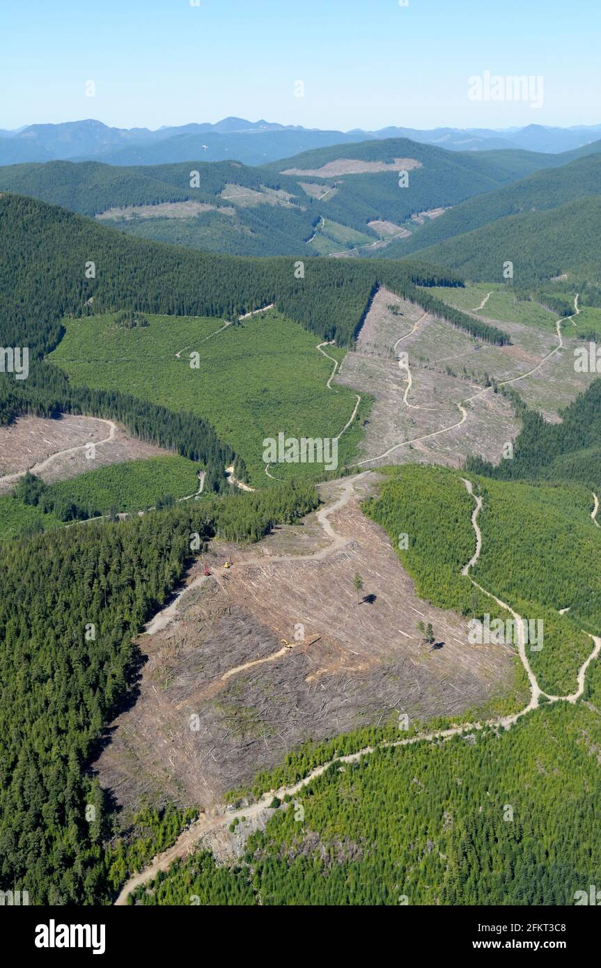 Aerial photo of clear cut logging, Vancouver Island, British Columbia ...