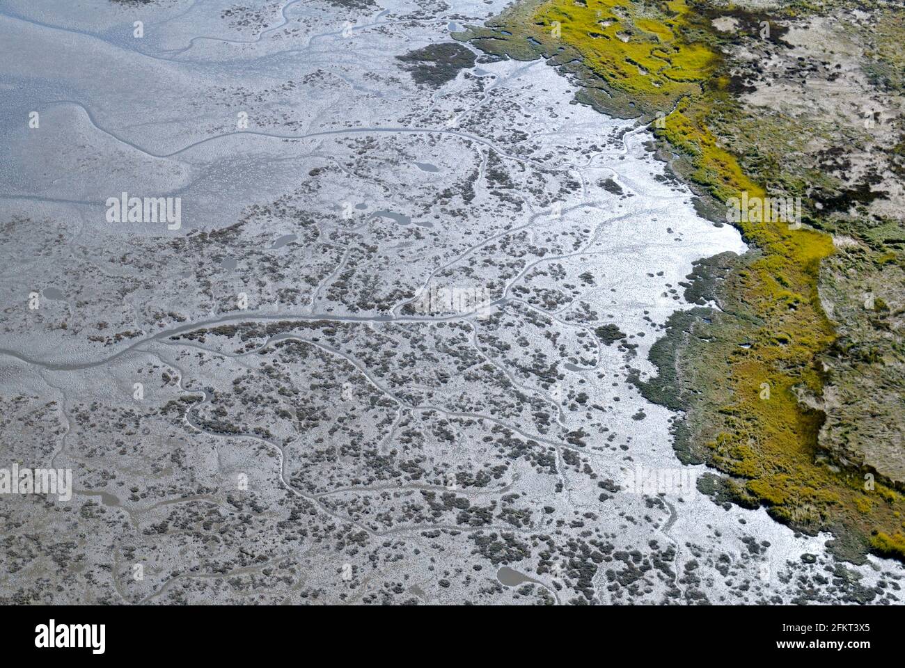 Aerial photograph of the Chemainus River Estuary, Chemainus Valley ...