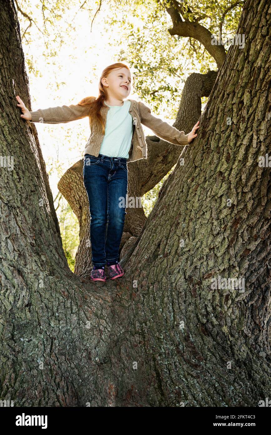 Portrait of girl gazing from tree Stock Photo - Alamy