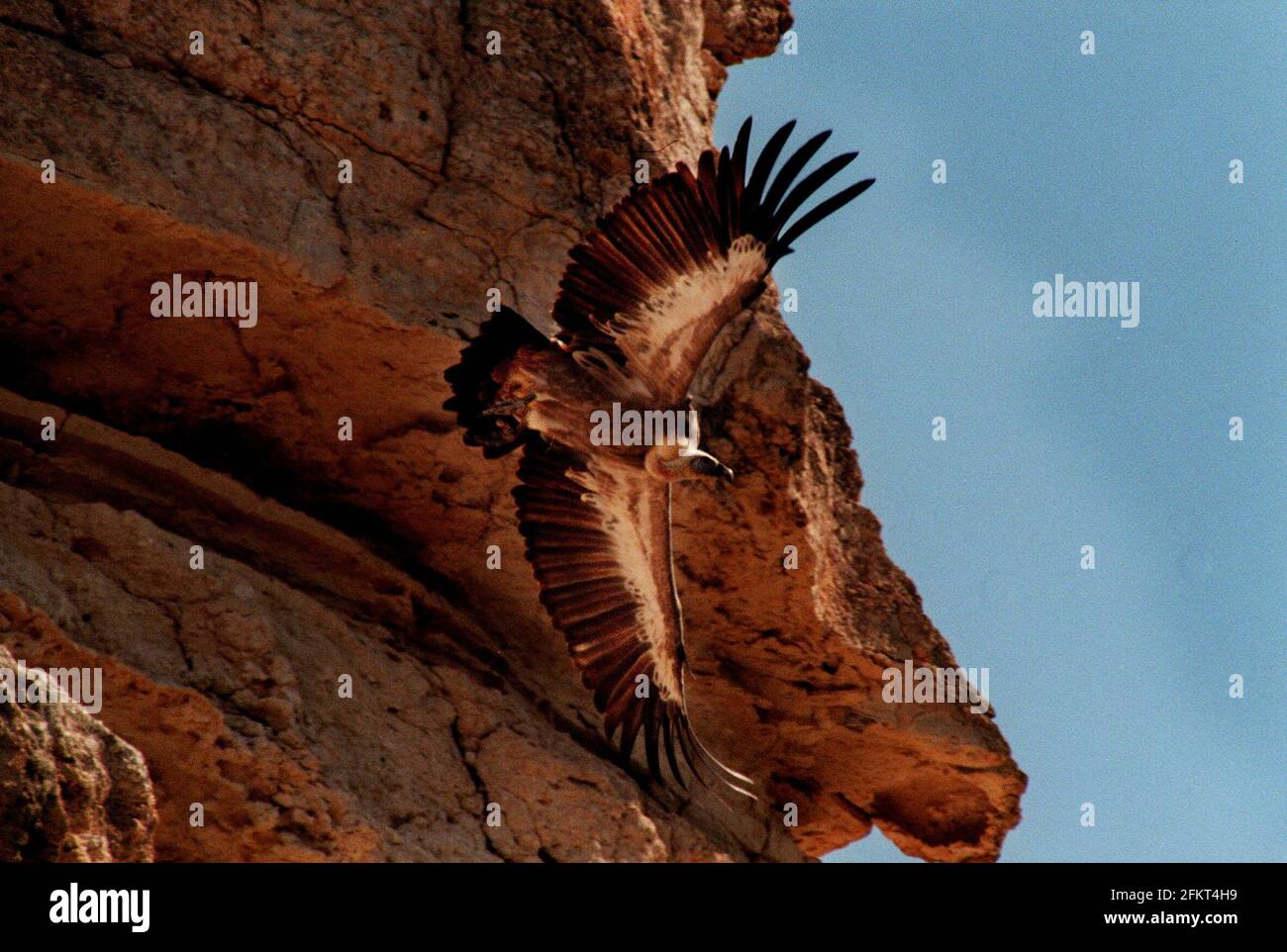 Sovereign base area sba hi-res stock photography and images - Alamy