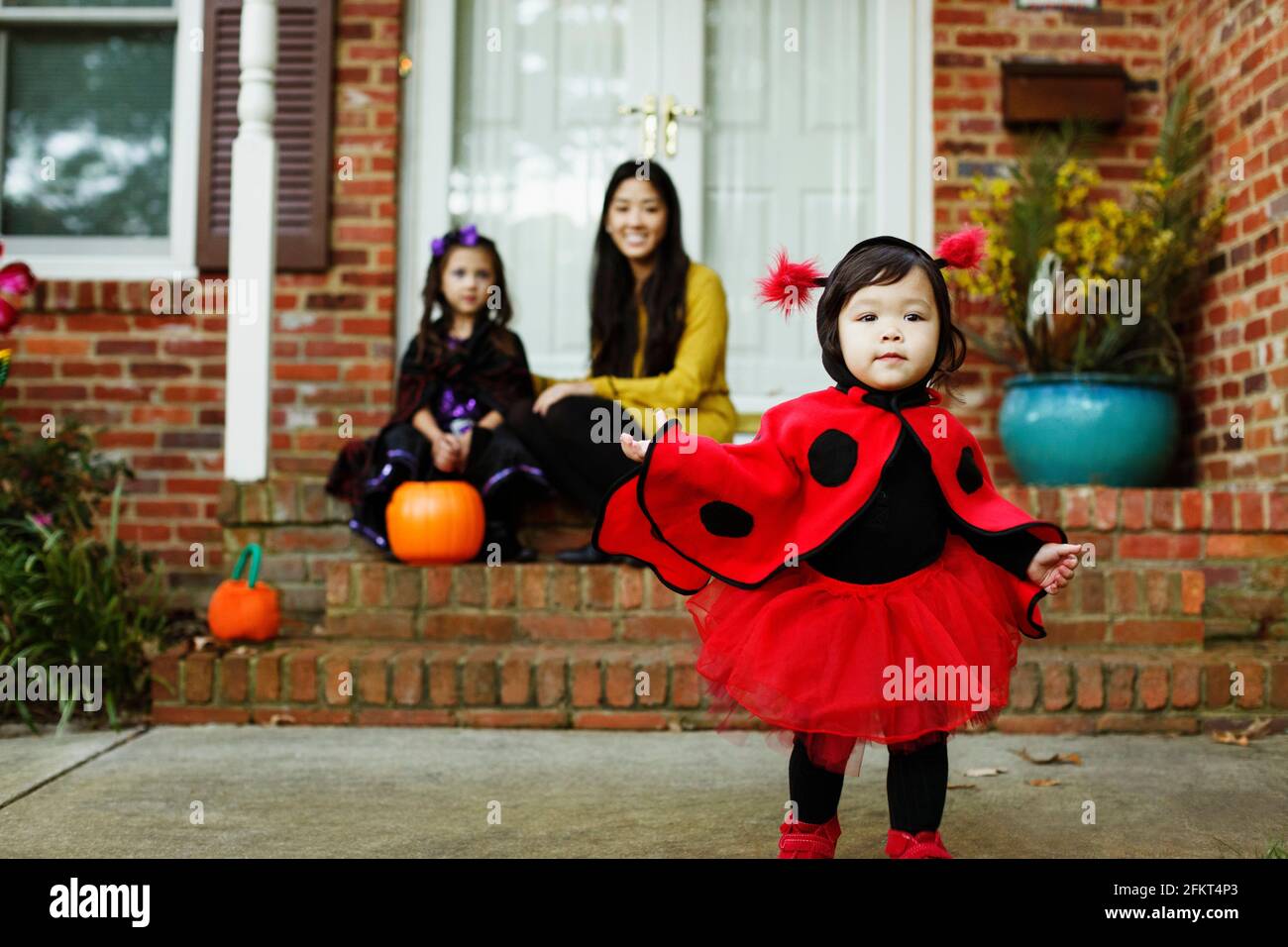 Girl dressed as ladybird outside house Stock Photo - Alamy