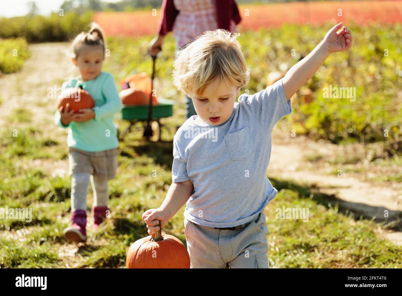 Carrying pumpkin hi-res stock photography and images - Alamy