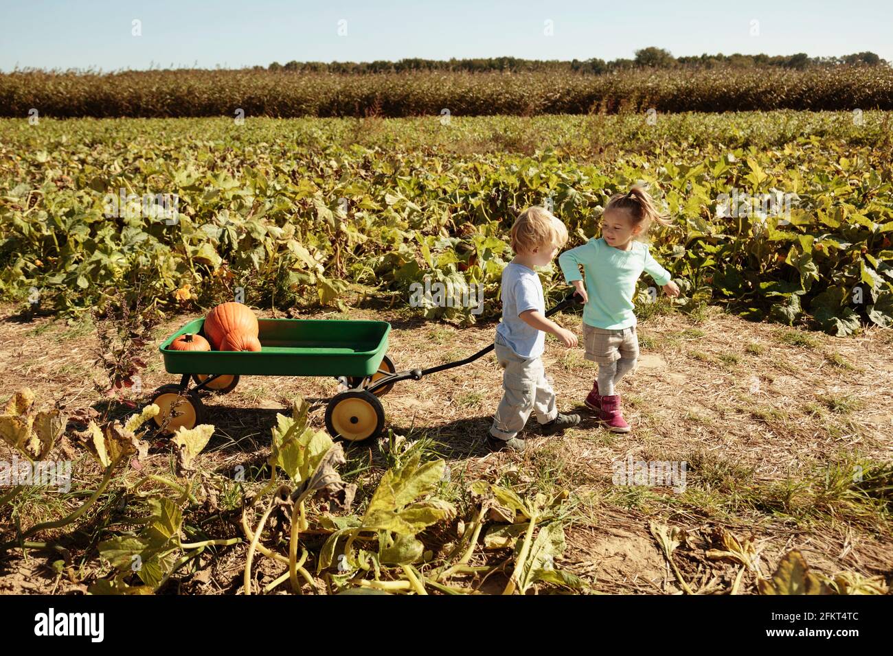 Brother and sister pulling pumpkin in cart Stock Photo - Alamy