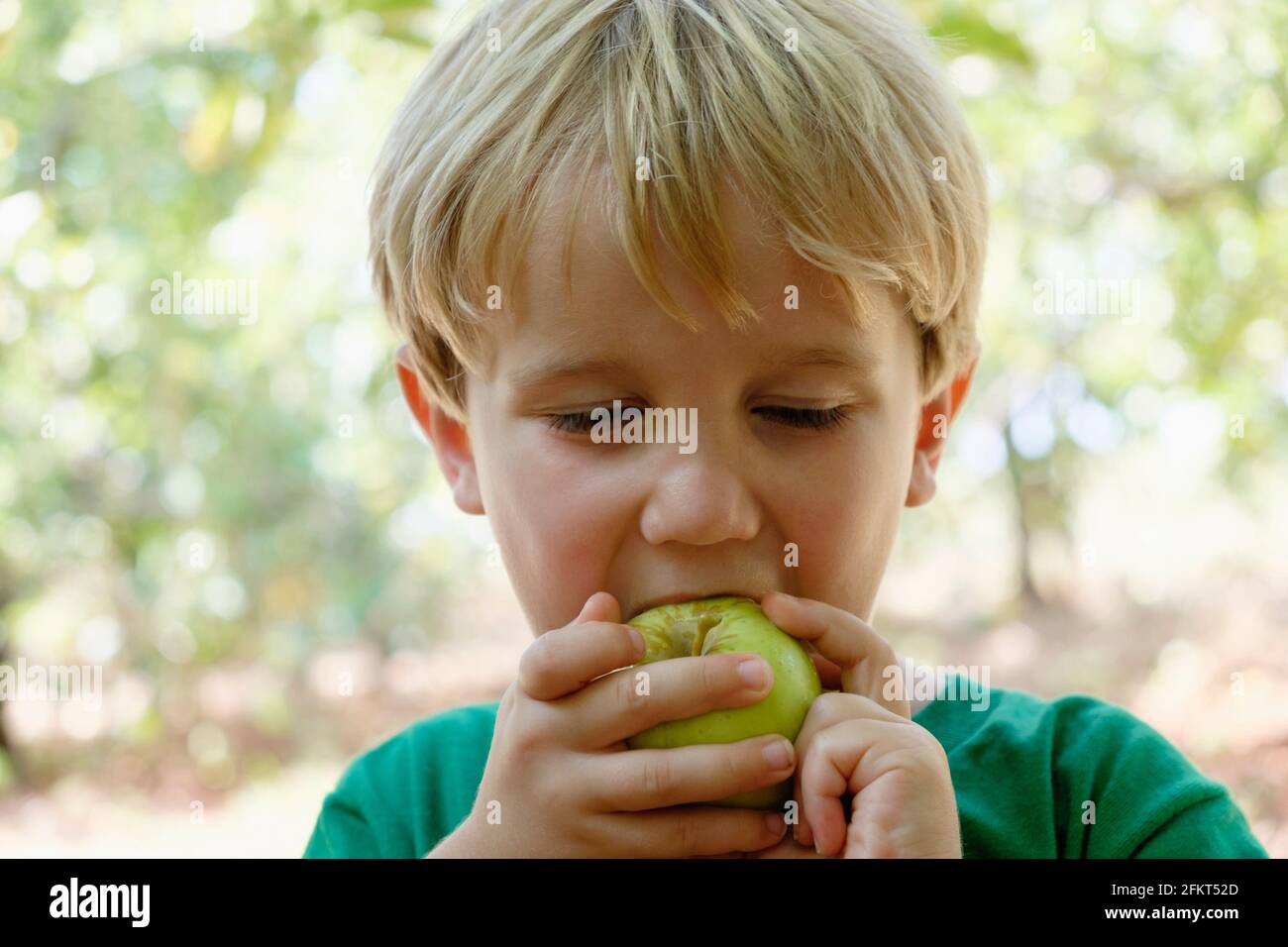 Child eating apple biting hi-res stock photography and images - Alamy