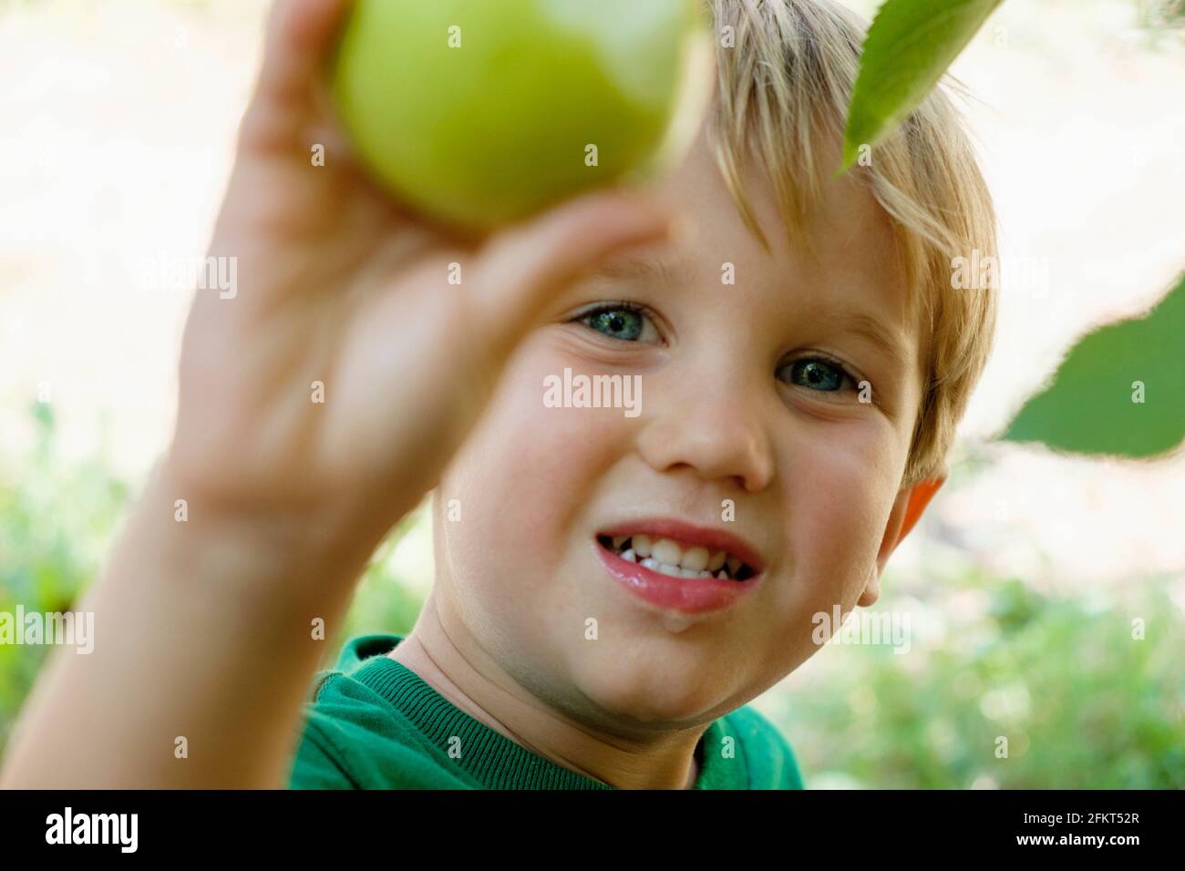 Picking an apple hi-res stock photography and images - Alamy
