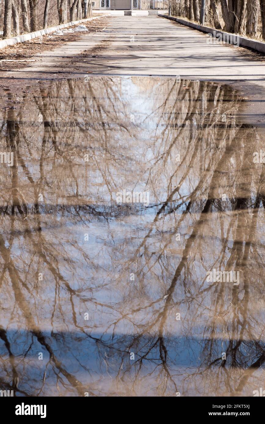 a large puddle with a reflection of trees on the alley Stock Photo - Alamy