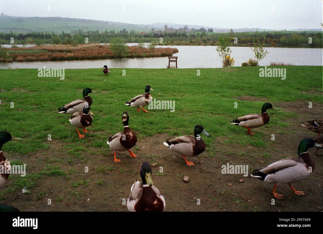 The sand and gravel quarry at Birnie Loch in Fife Scotland Stock Photo ...