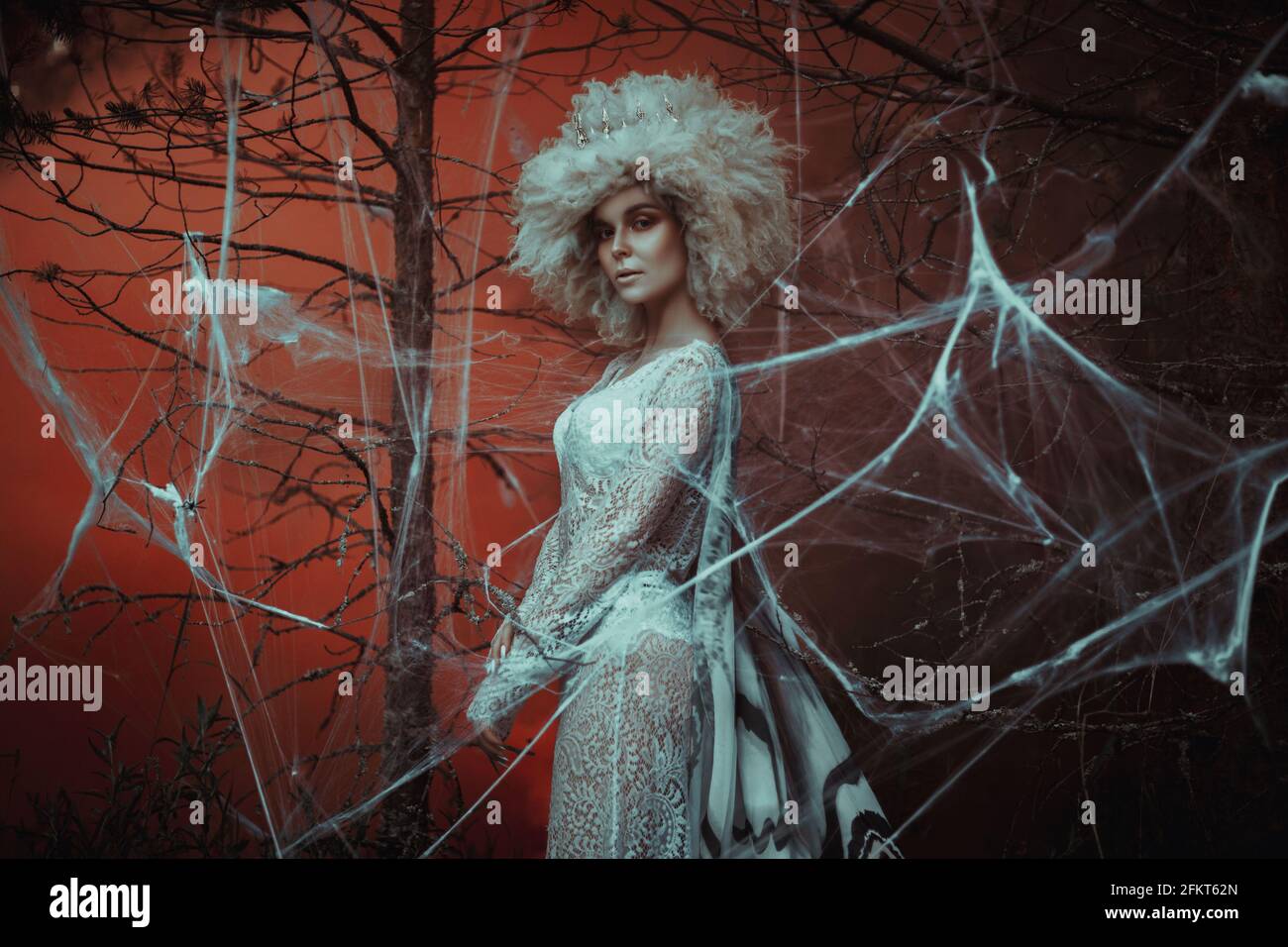 Moth in spiderweb hi-res stock photography and images - Alamy