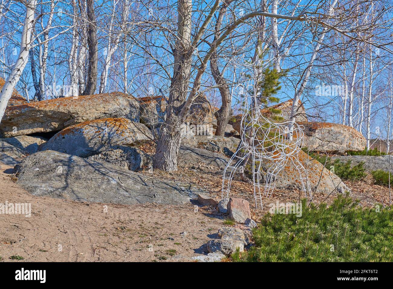 trees without leaves and a lot of stones Stock Photo - Alamy