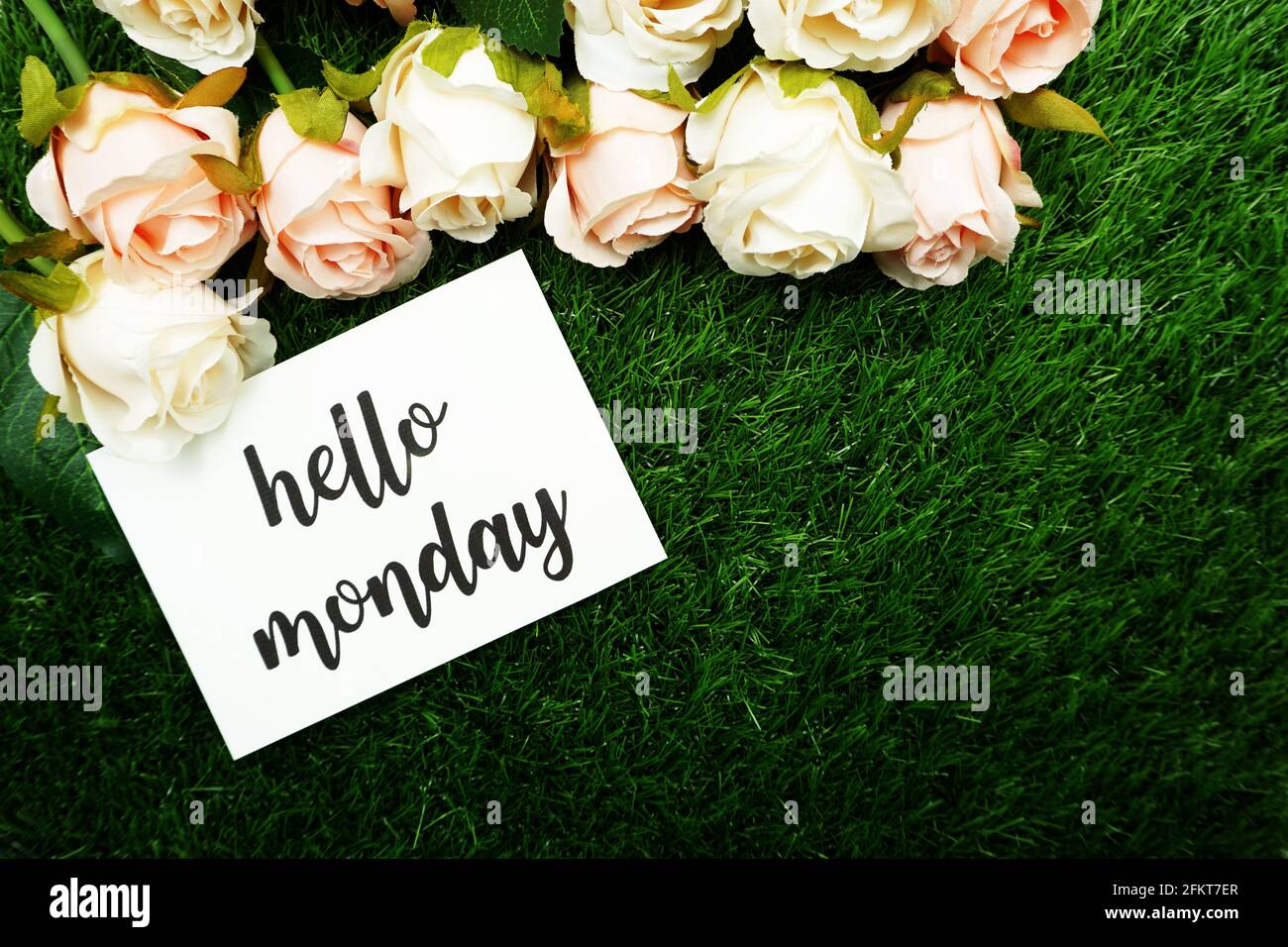 Hello Monday text message written on paper card with roses flower ...