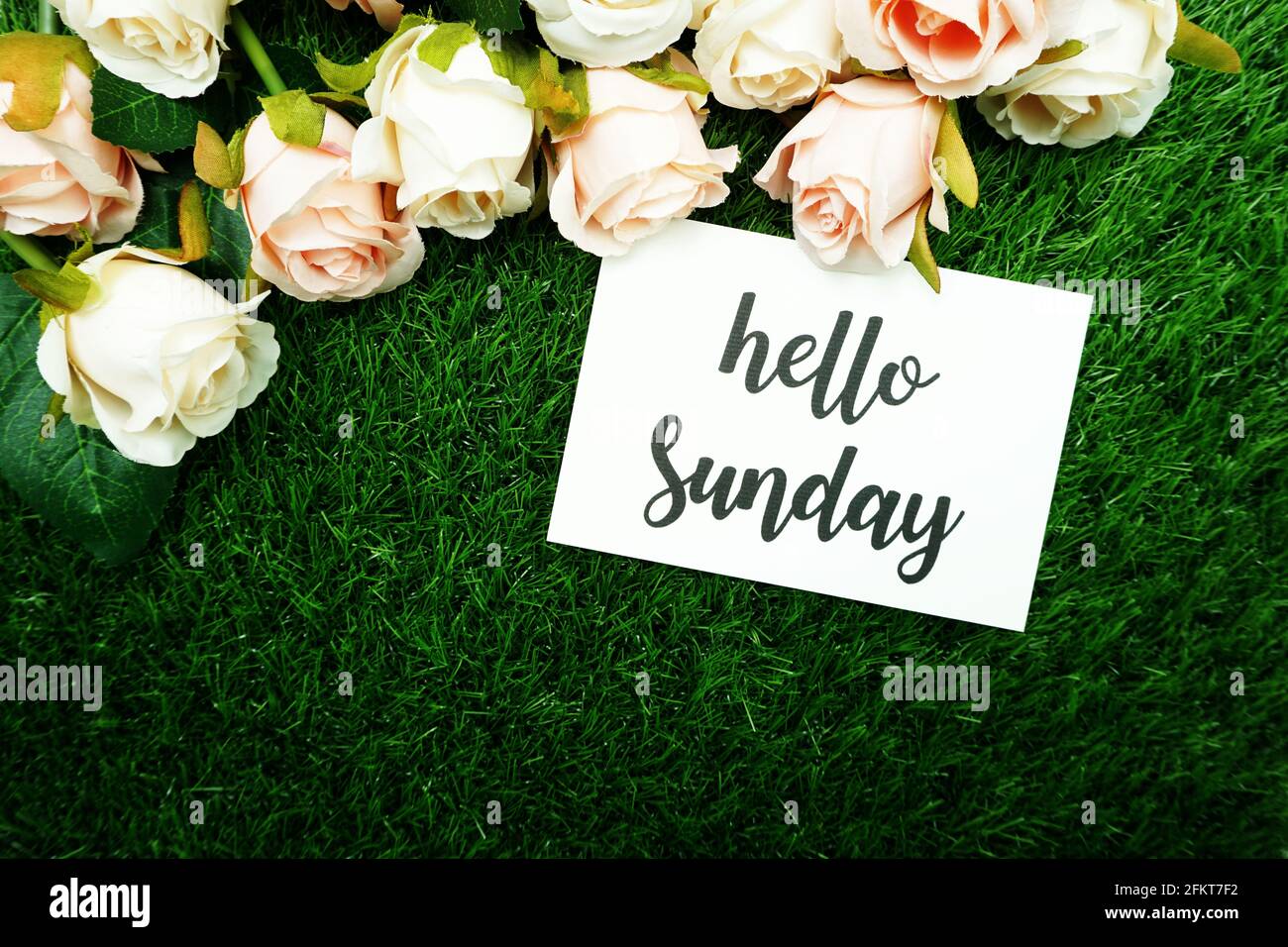 Hello Sunday text message written on paper card with roses flower ...