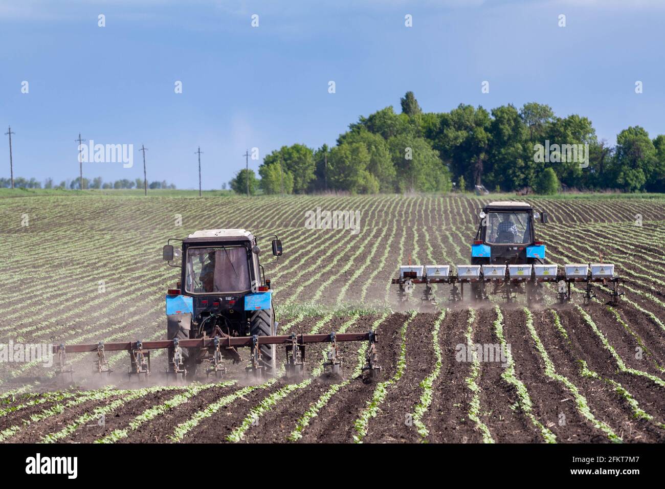 field work in agriculture. farmer's tractor harrows the field after ...