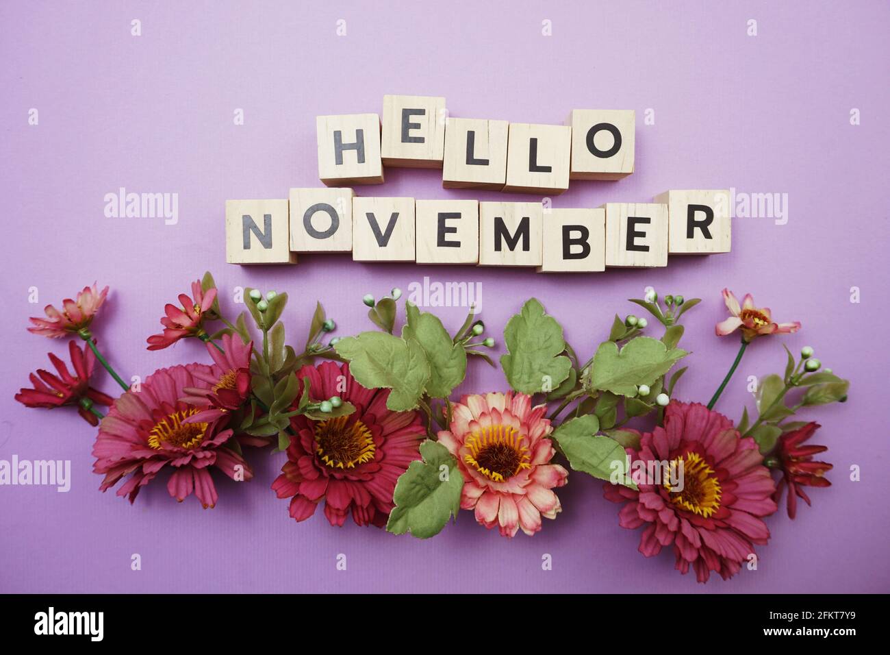 Hello November alphabet letters with pink flower decoration on purple ...
