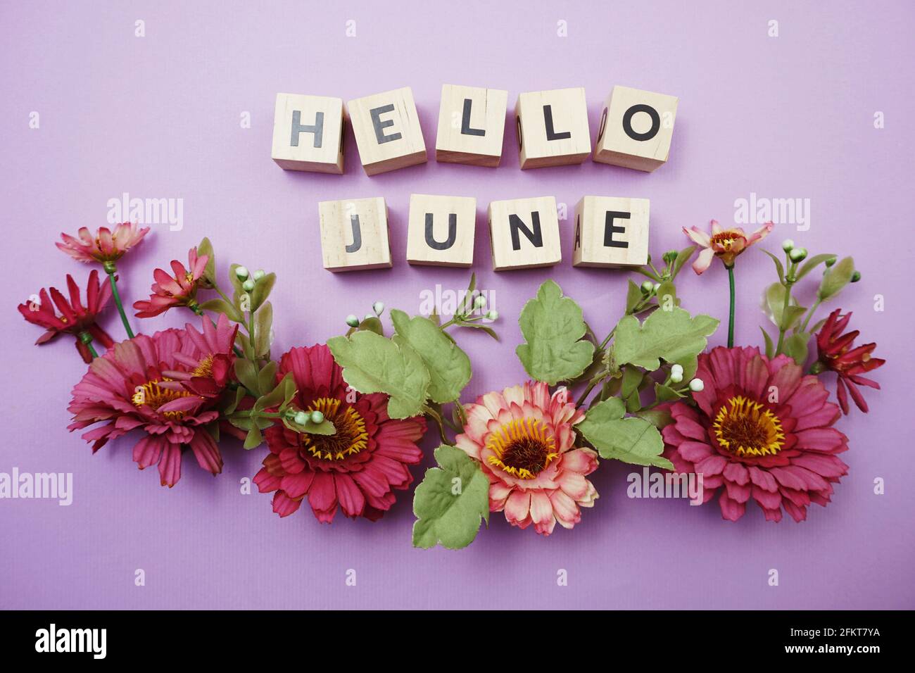 Hello June alphabet letters with flower decoration top view on purple ...