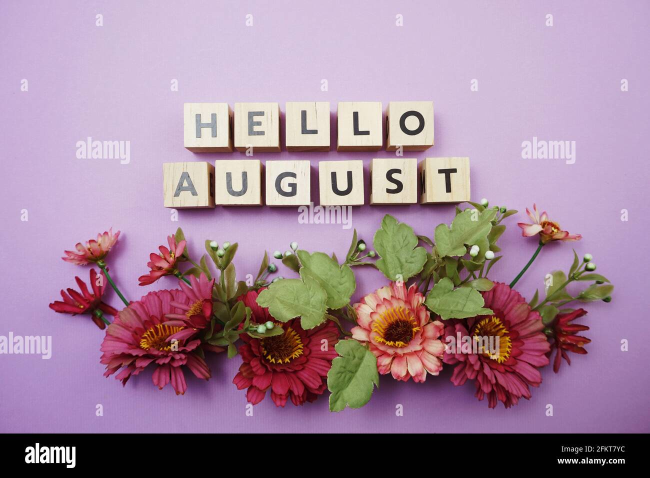 Hello August alphabet letters with pink flower decoration on purple ...