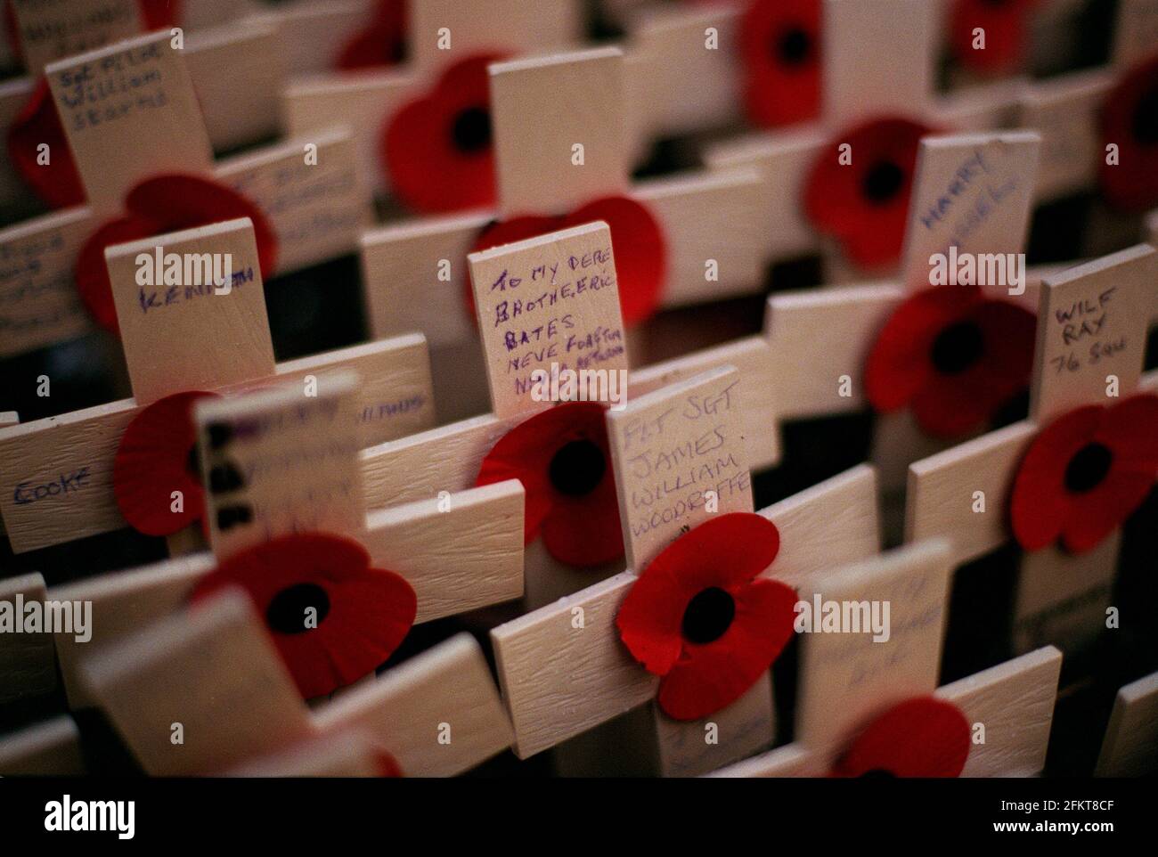 Remembrance Day poppies are pictured at Westminster Abbey Stock Photo ...