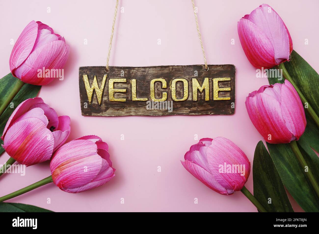 Welcome Sign and Tulip Flower Blooming Decoration on pink background ...