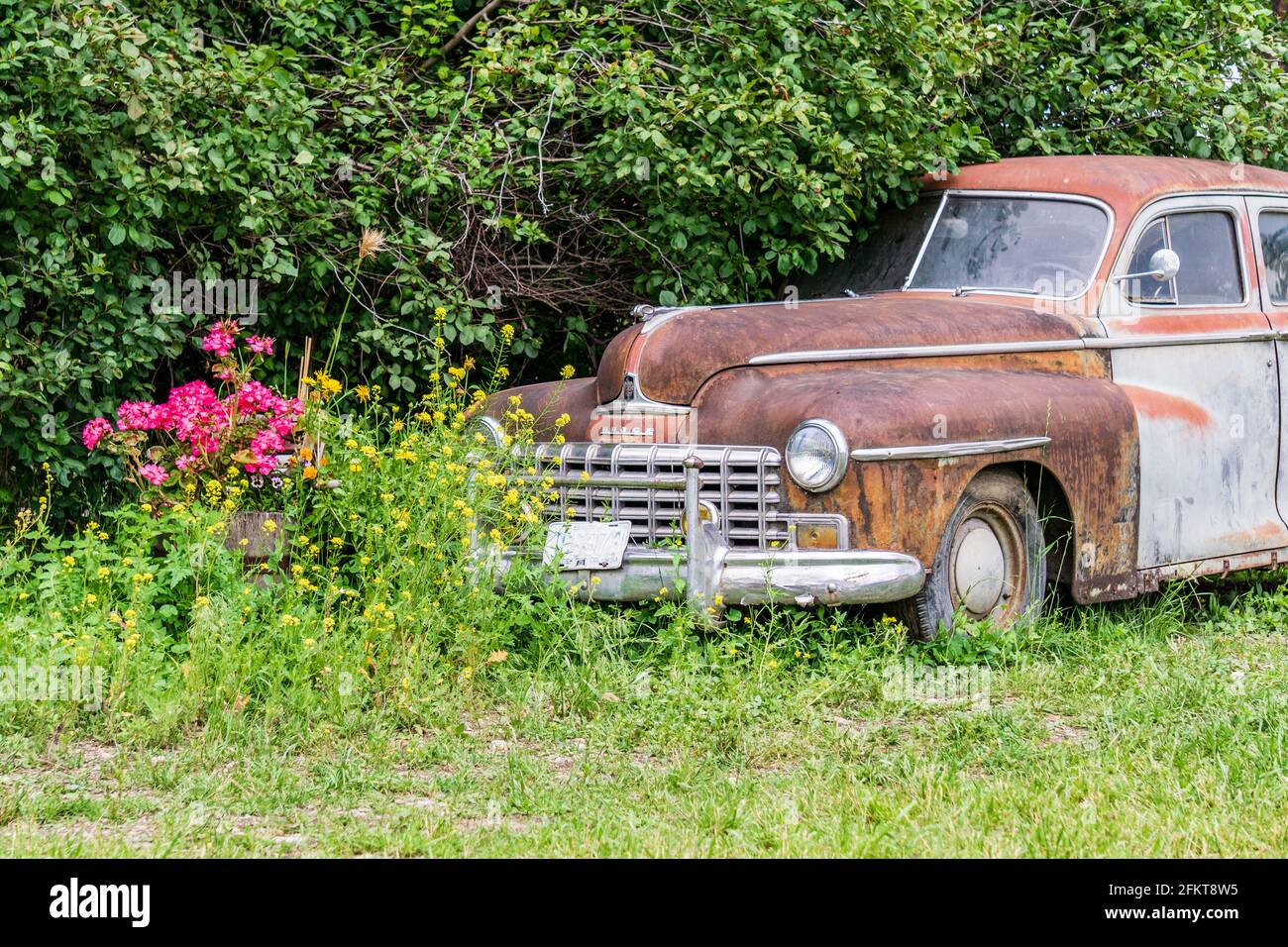 Old rusty car hi-res stock photography and images - Alamy