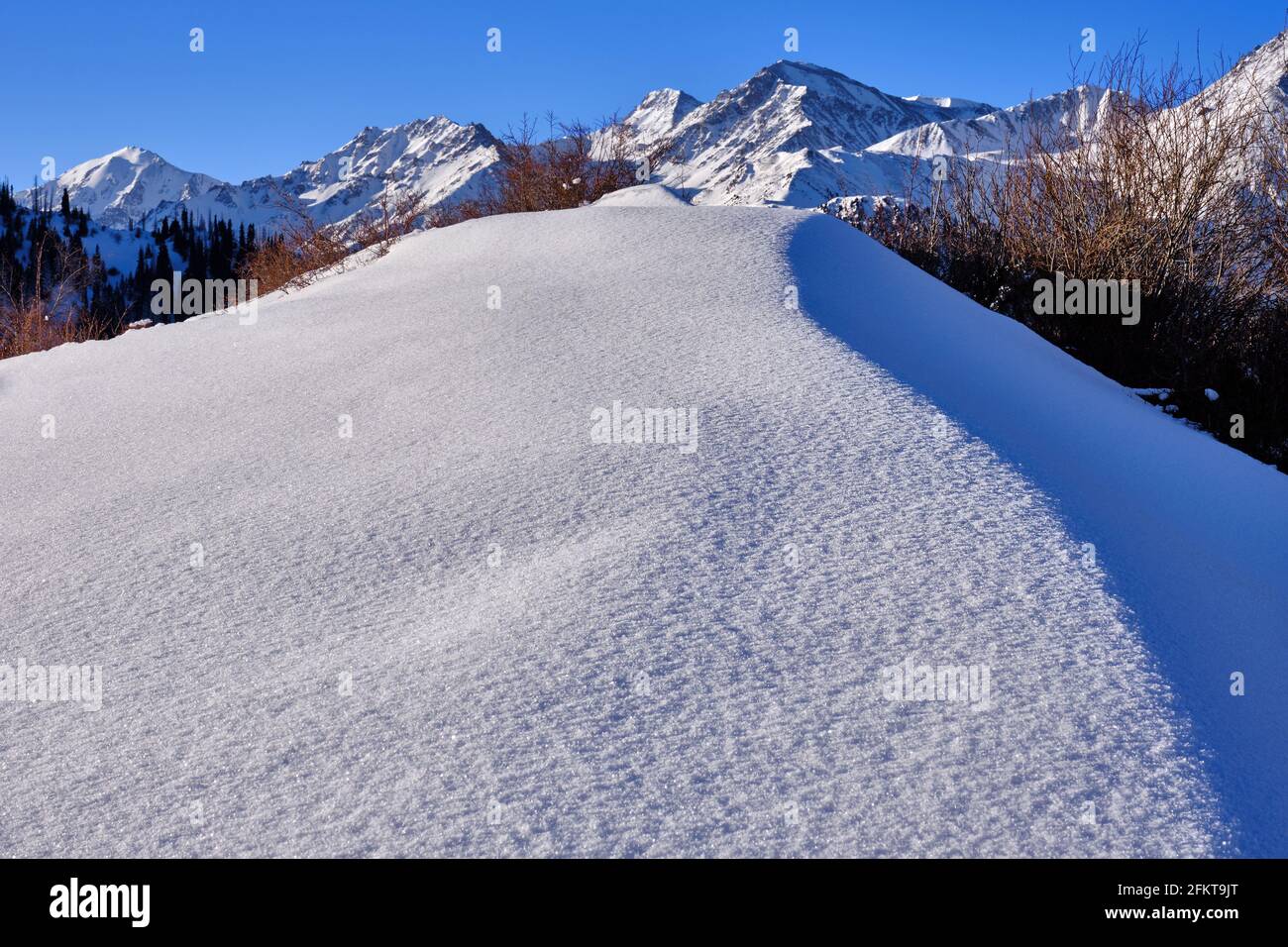 Curved snow-covered ridge, one side of which is illuminated by the sun ...