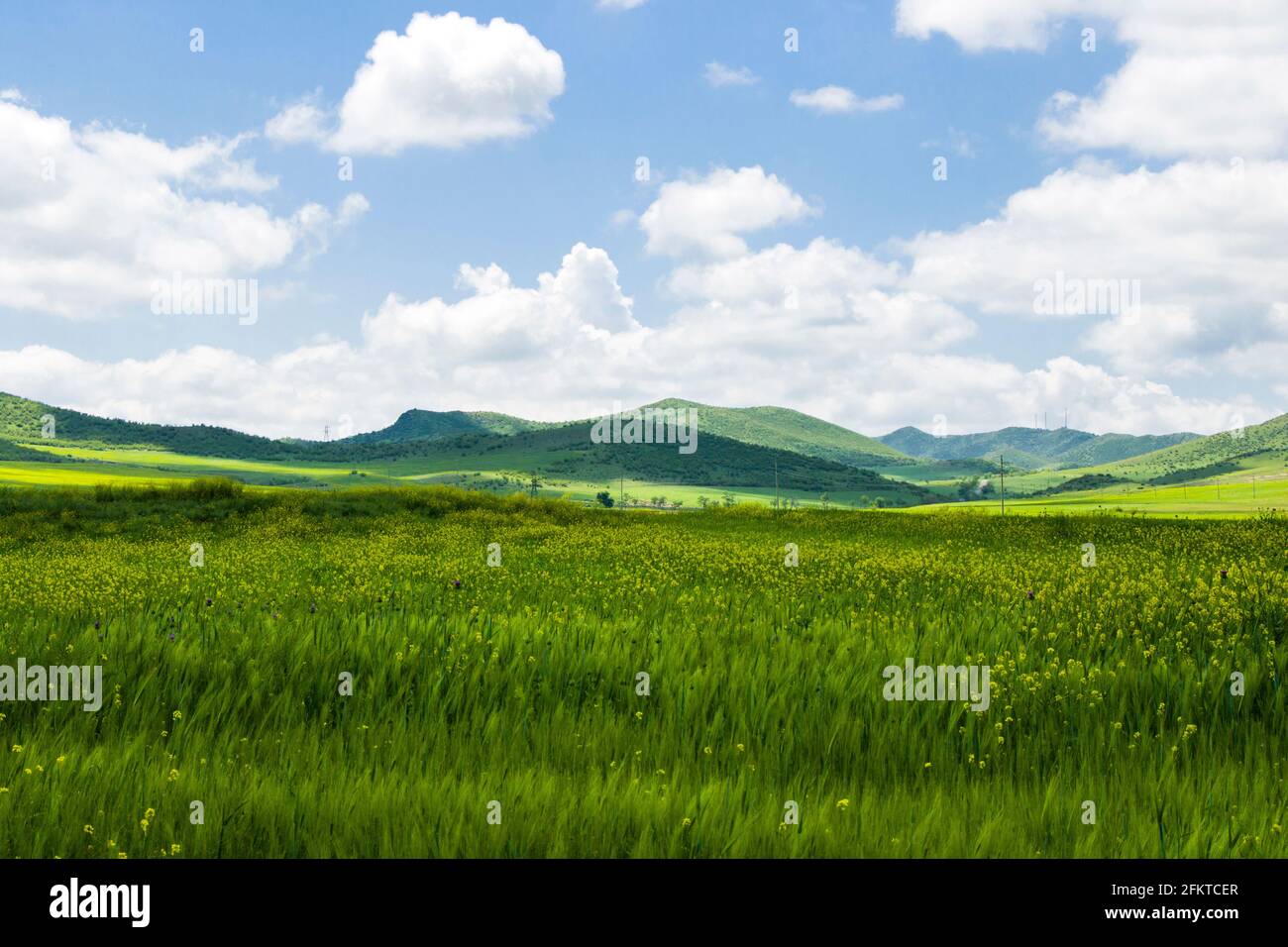 Green valley and field, springtime landscape in Georgia Stock Photo - Alamy