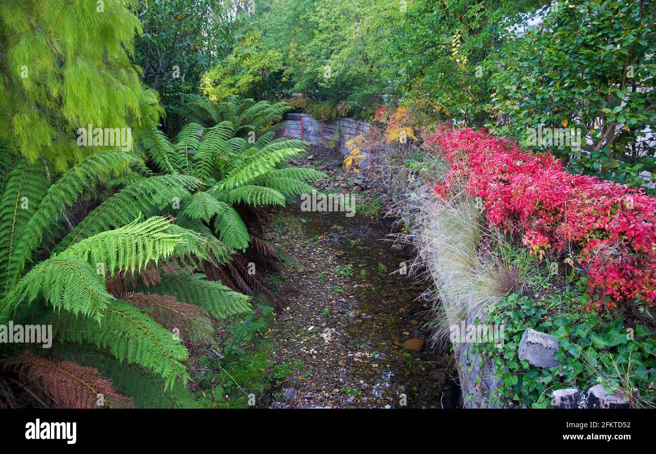 Australian creek victoria hi-res stock photography and images - Alamy