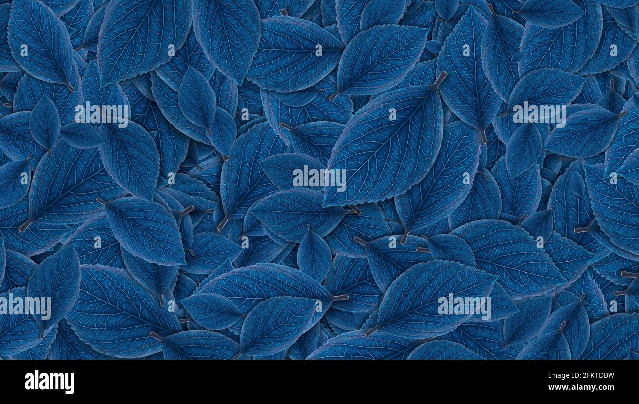 abstract blue autumn leaves background, top view Stock Photo - Alamy