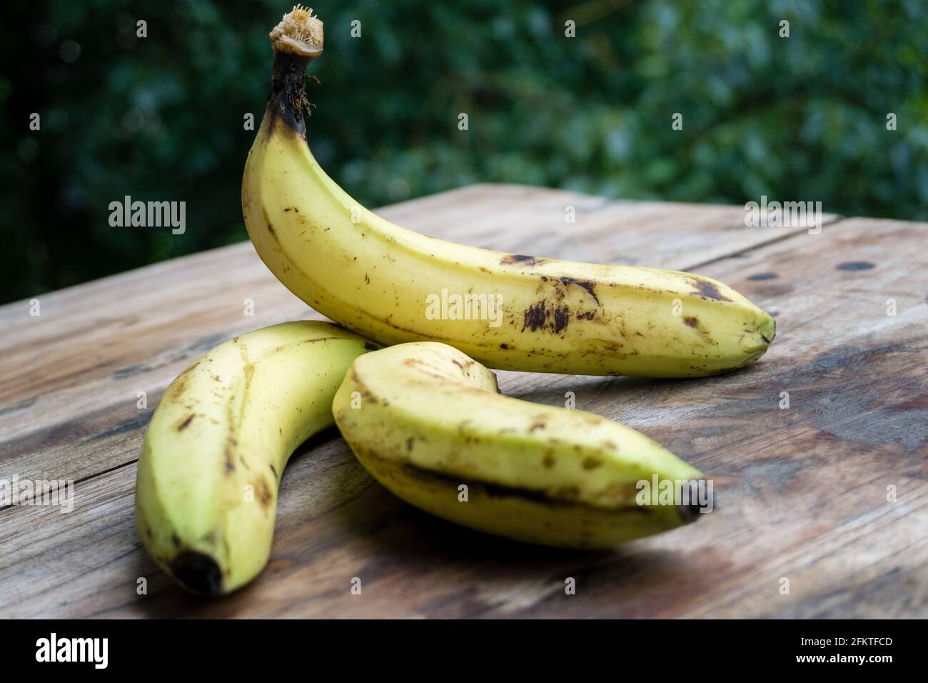 A close up shot of bananas on a tabletop with natural background Stock ...