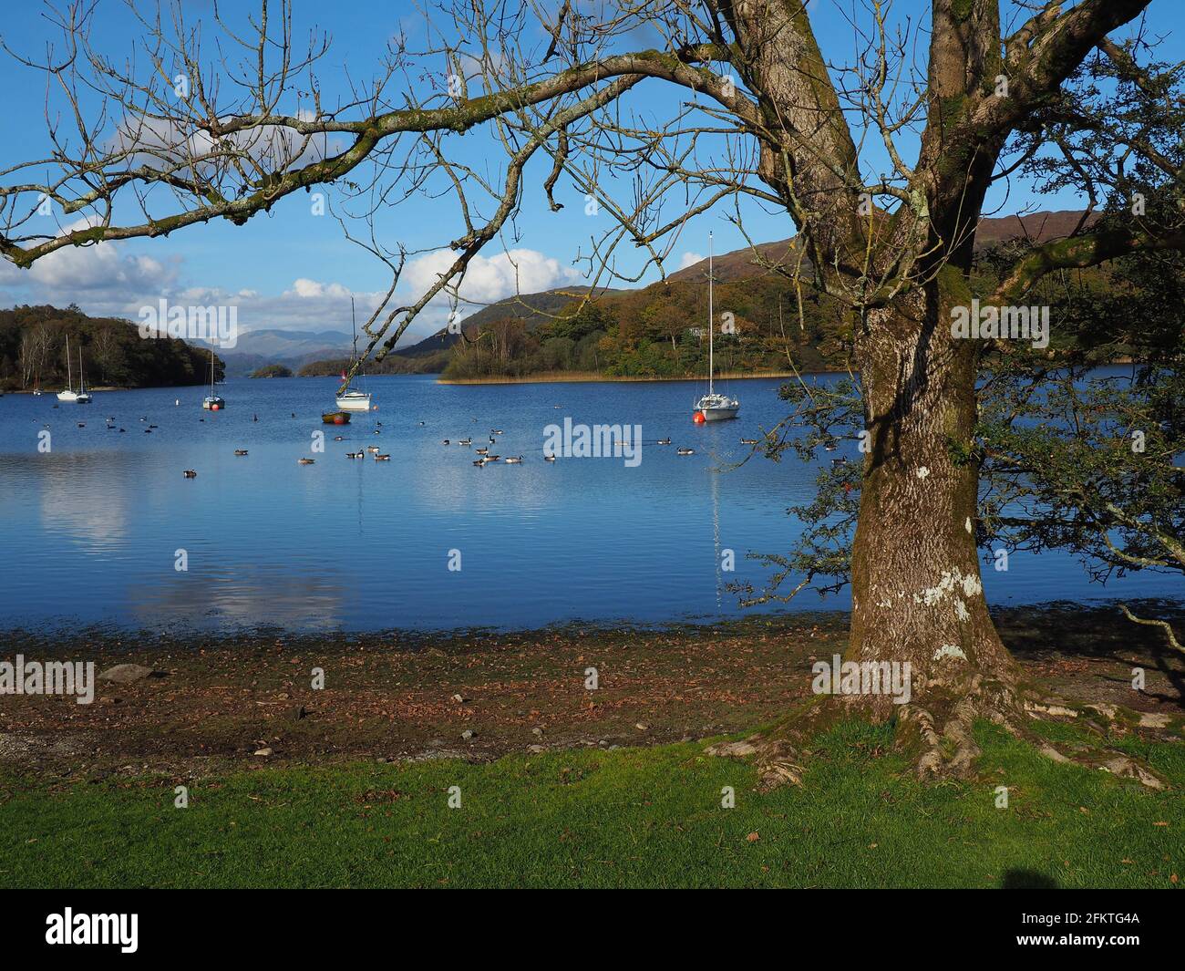 " CONISTON WATER " , " LAKE DISTRICT " ," UK Stock Photo - Alamy