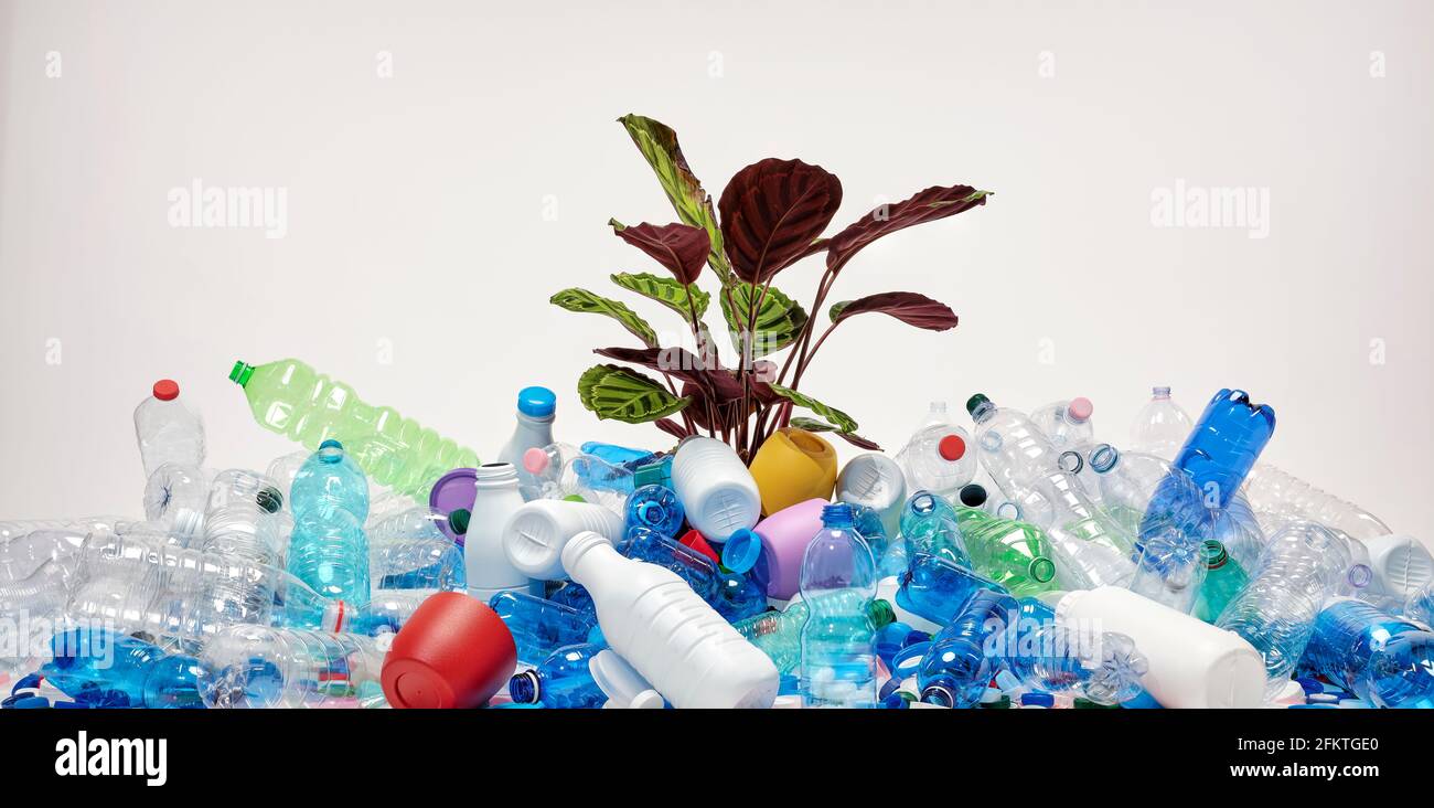 Plastic bottles recycling plant hi-res stock photography and images - Alamy