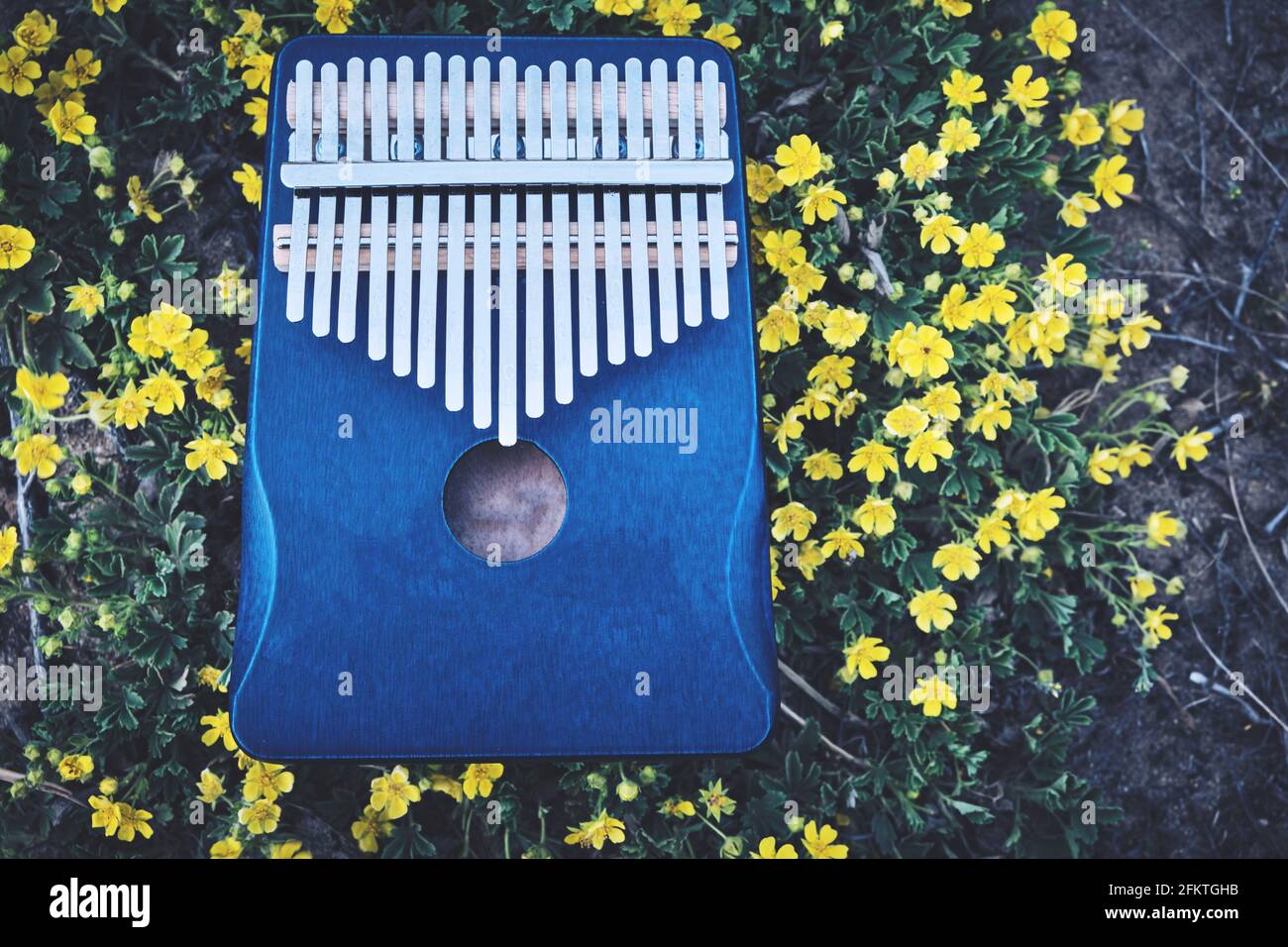 Kalimba is a musical instrument on the grass with yellow flowers Stock ...