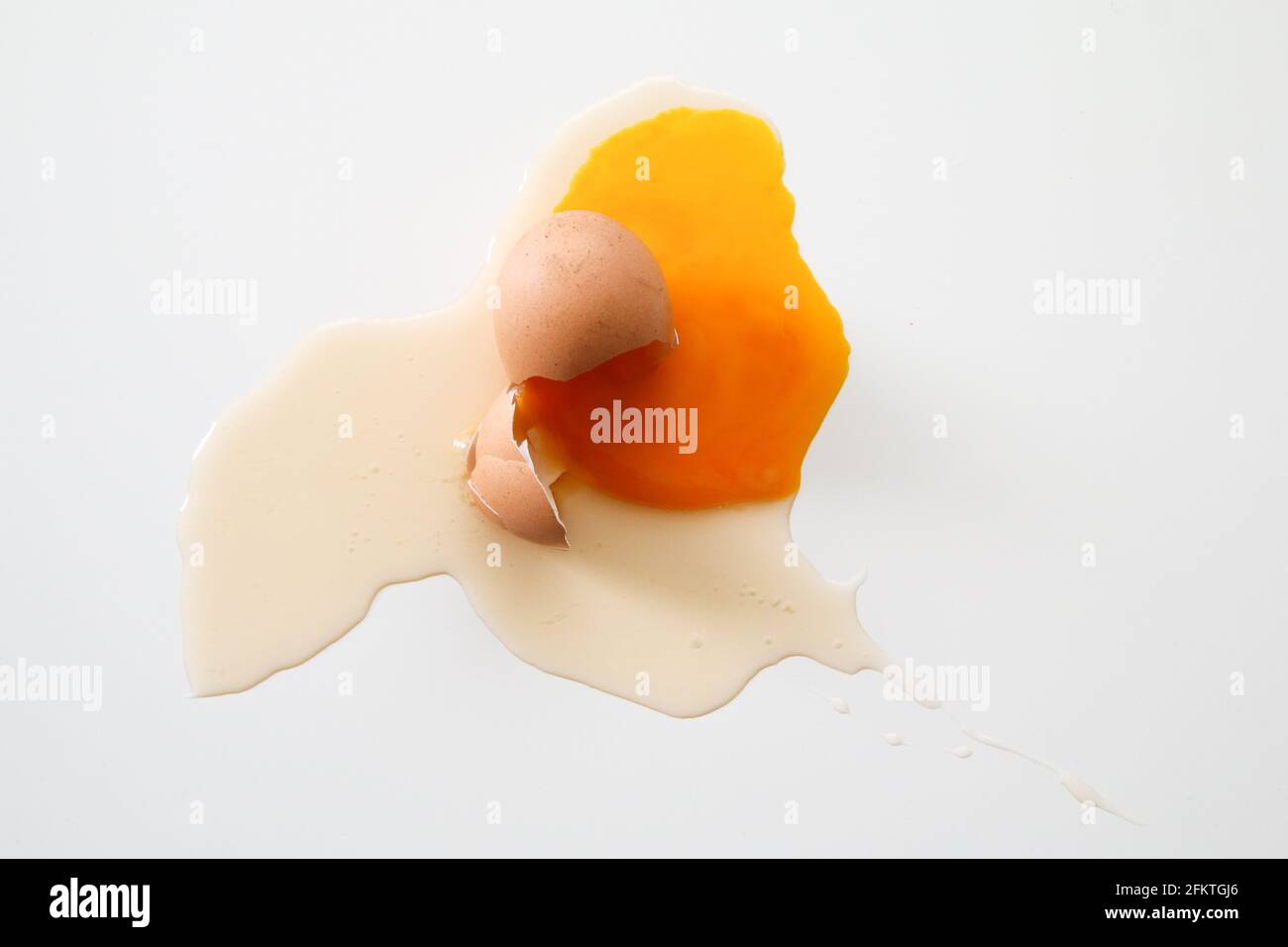 The fallen organic egg lies broken with the eggshell smashed and yolk ...
