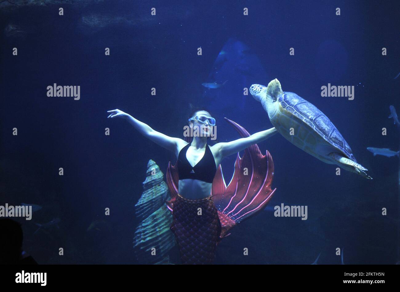 GUIYANG, CHINA - MAY 4, 2021 - Actors perform mermaids at Sea World in ...