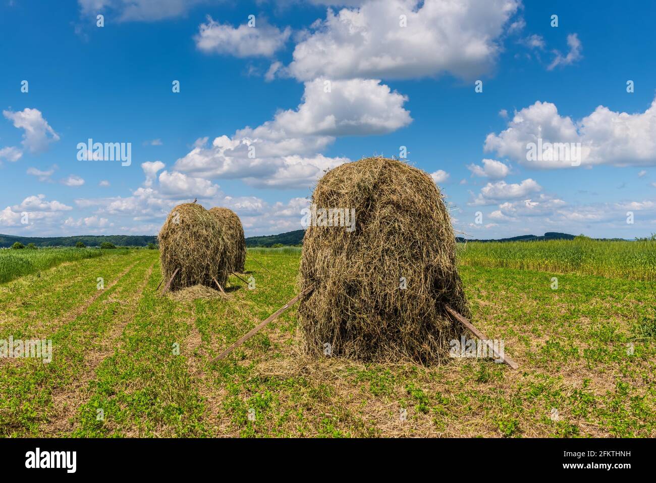 Ukraine backgrounds texture hi-res stock photography and images - Alamy