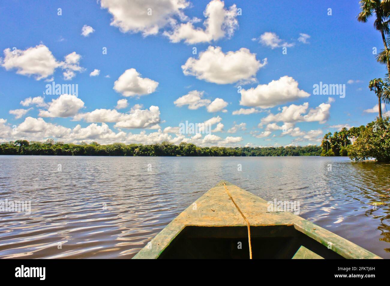 Amazon rainforest boat hi-res stock photography and images - Alamy