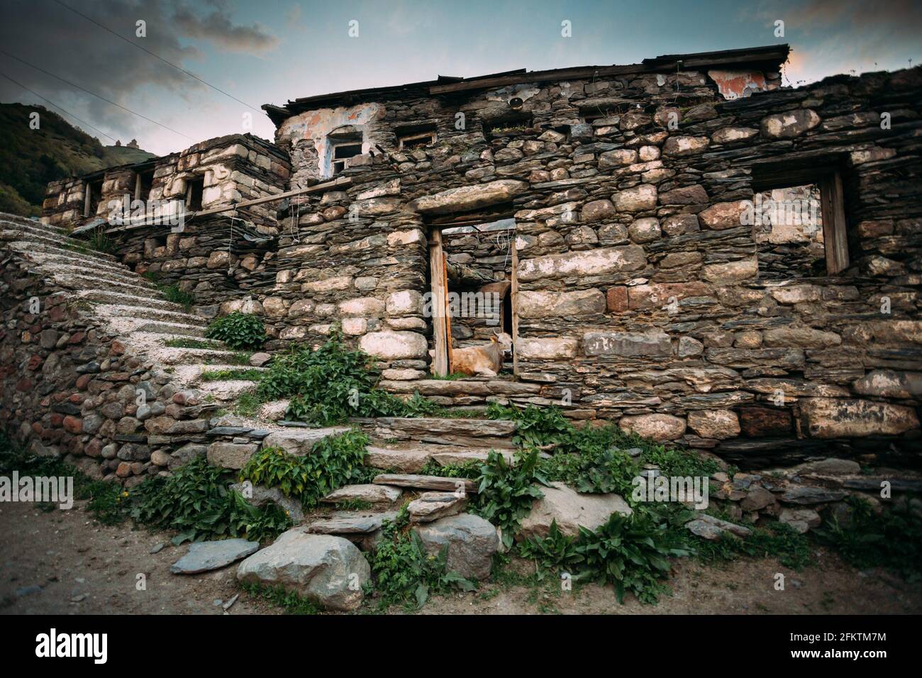 Georgia. Cow Lying In Shed In Georgian Village Stock Photo - Alamy