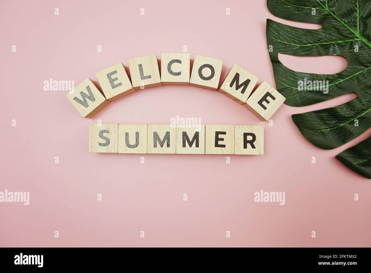 Welcome Summer message alphabet letter with green monstera leave on ...