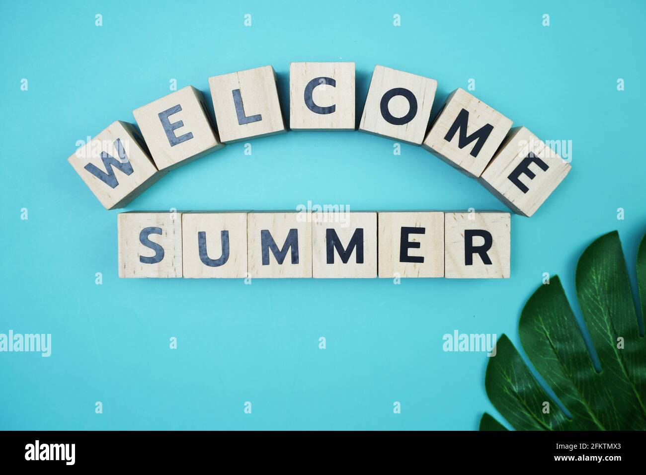 Welcome Summer message alphabet letter with green monstera leave on ...