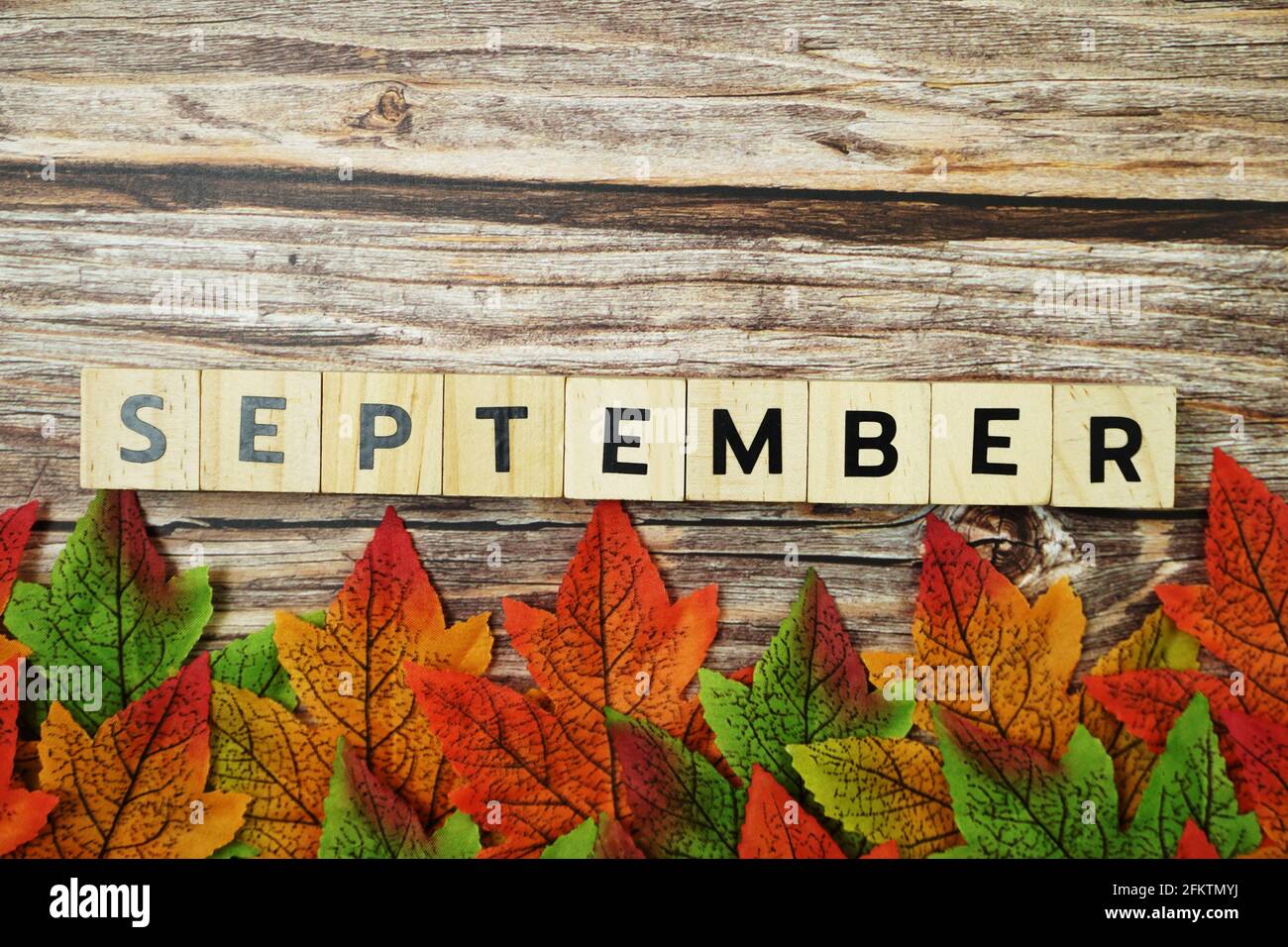 September alphabet letter with maple leaves frame on wooden background ...