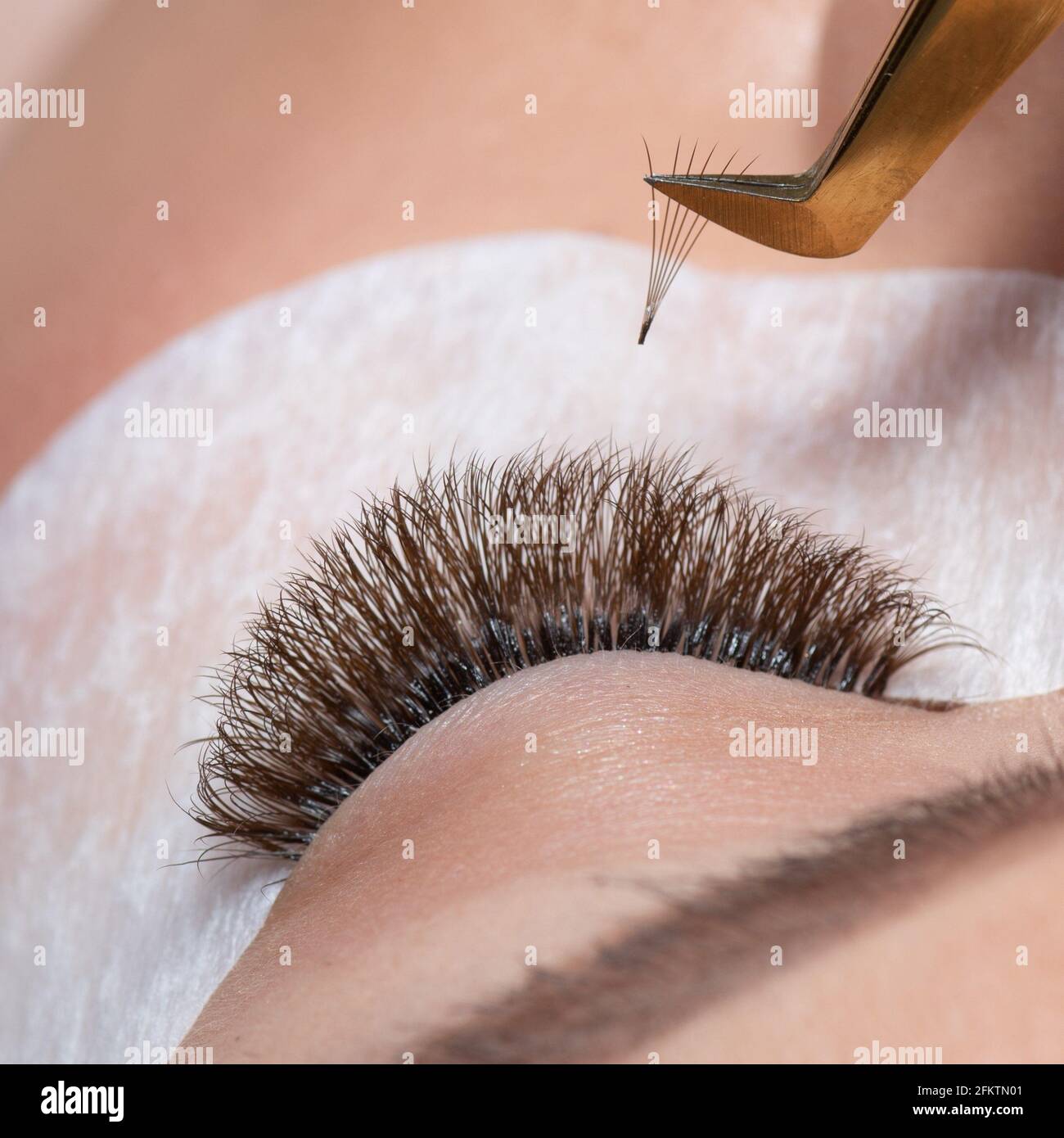 Work procedure hi-res stock photography and images - Alamy
