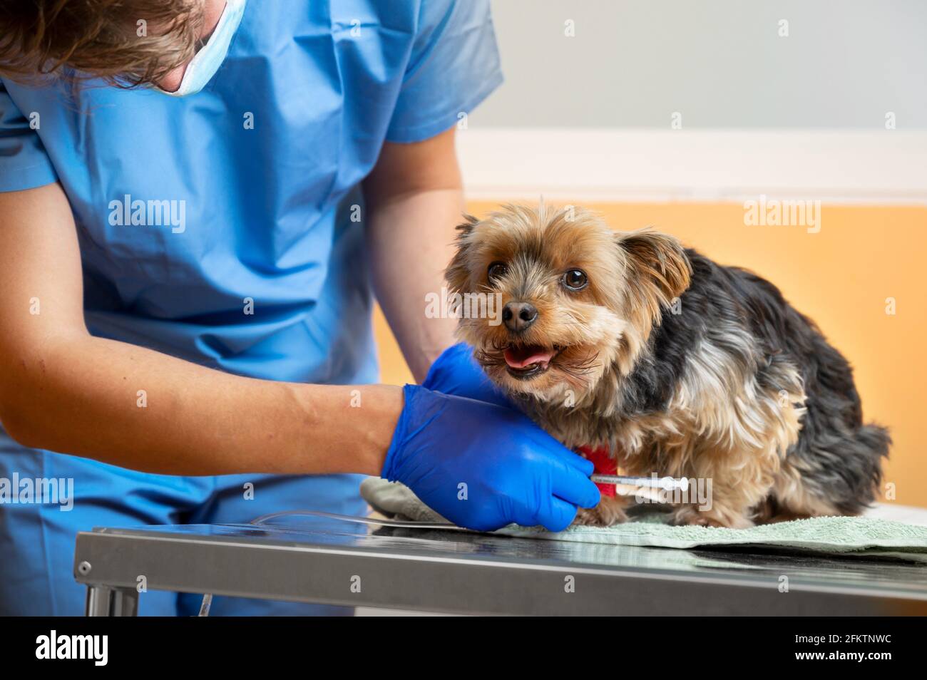 Iv drip baby hi-res stock photography and images - Alamy