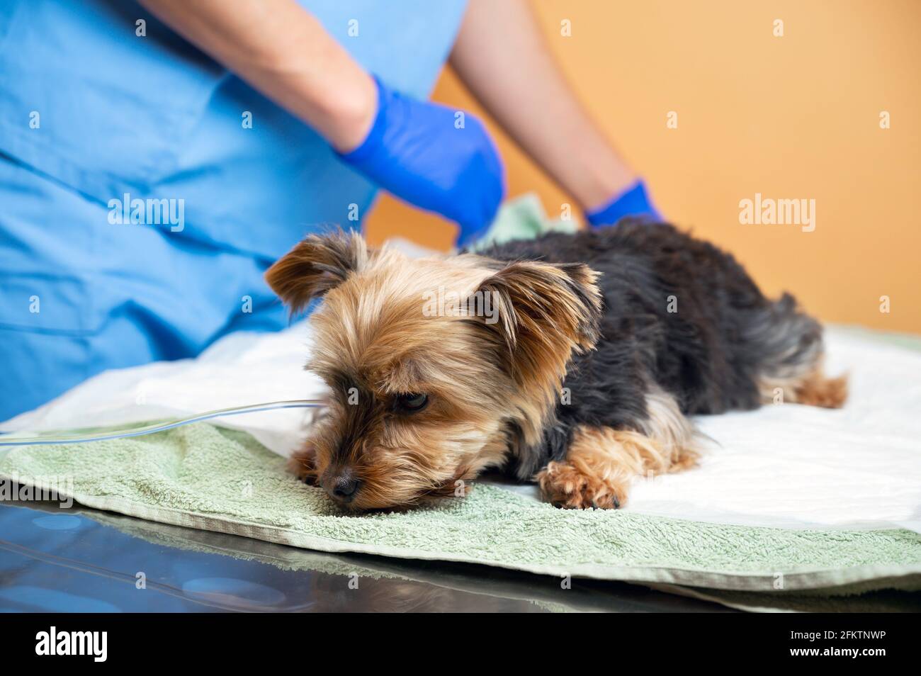 Induction of anaesthesia hi-res stock photography and images - Alamy