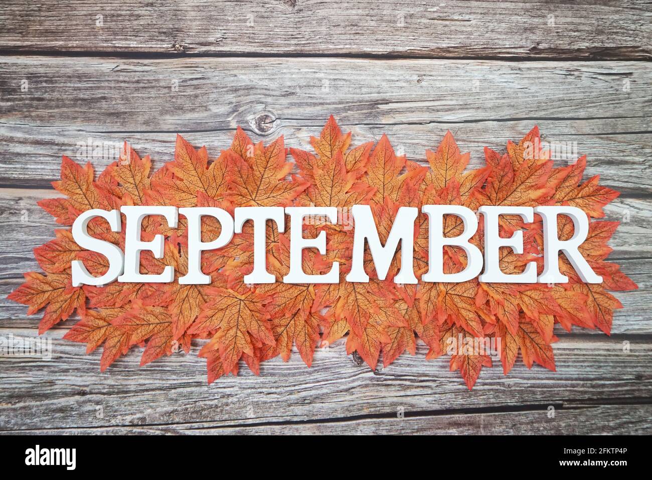 September alphabet letter with maple leaves frame on wooden background ...