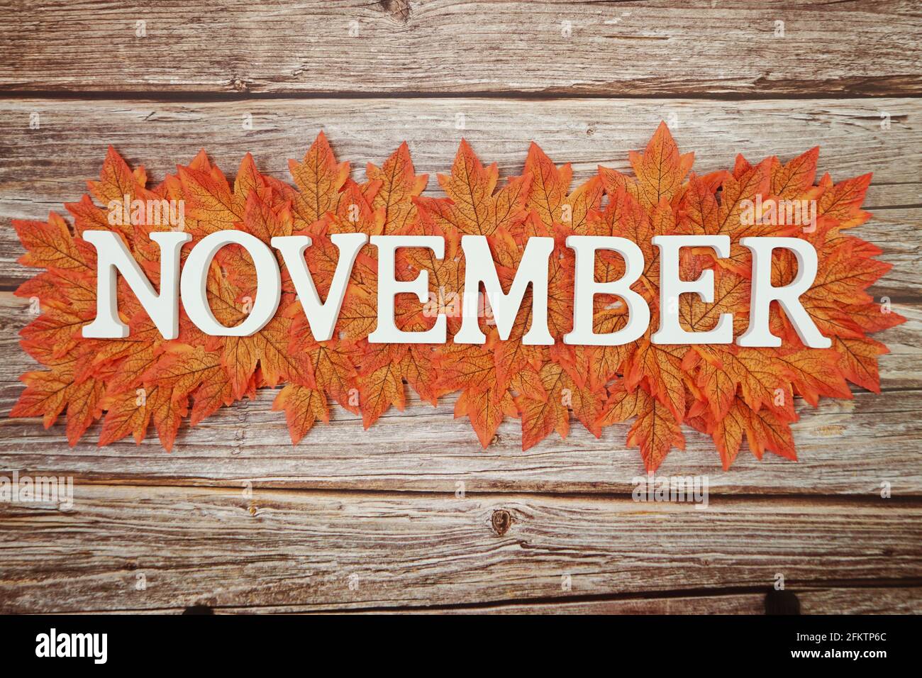 November alphabet letter with maple leaves frame on wooden background ...
