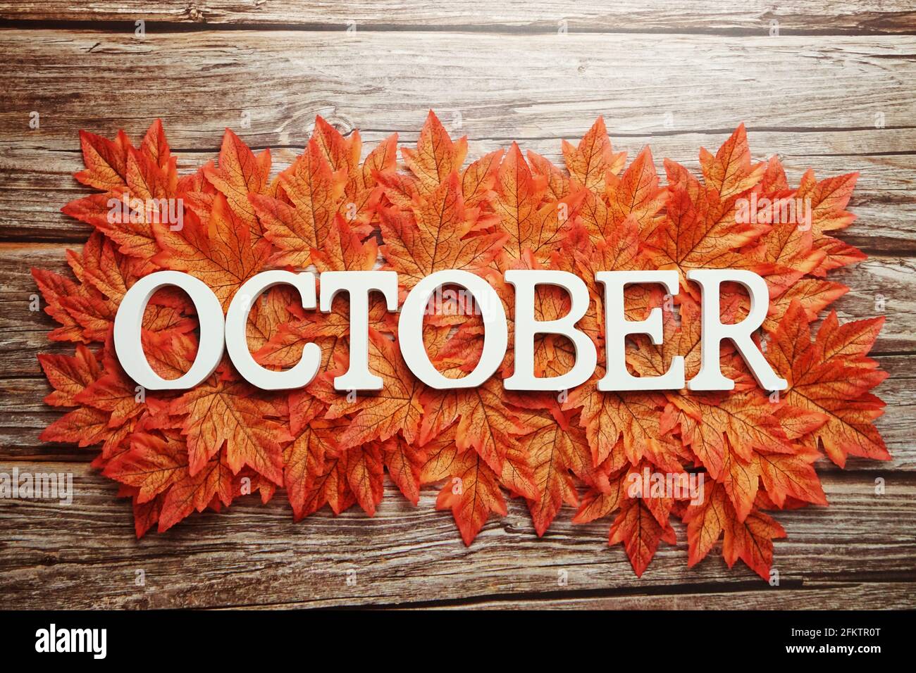 October alphabet letter with maple leaves frame on wooden background ...