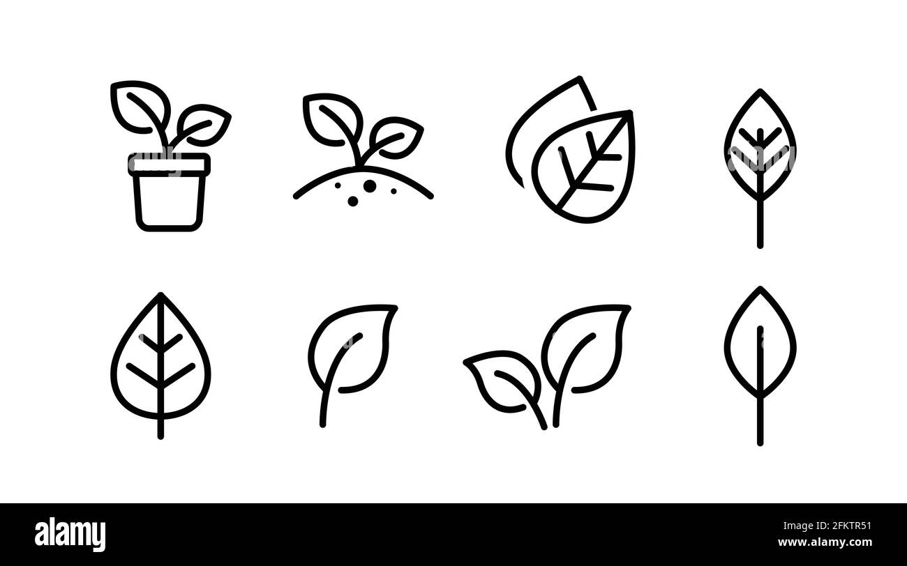 Plants Set. Leaves or plants vector black and white isolated ...