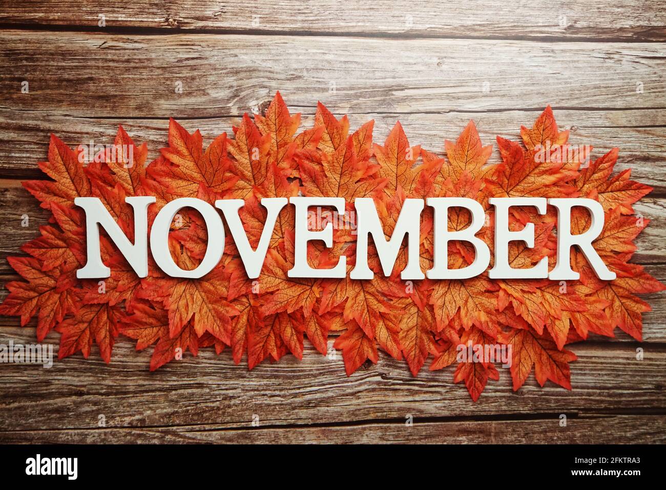 November alphabet letter with maple leaves frame on wooden background ...
